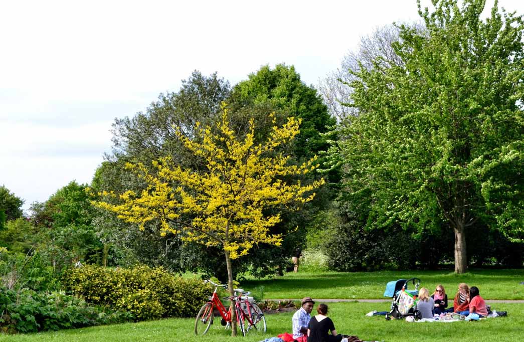 Summer In London - Cool & Fun Things To Do In The Summer - London ...