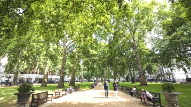 24 Things To Do In Mayfair - A Complete Guide - London Kensington Guide