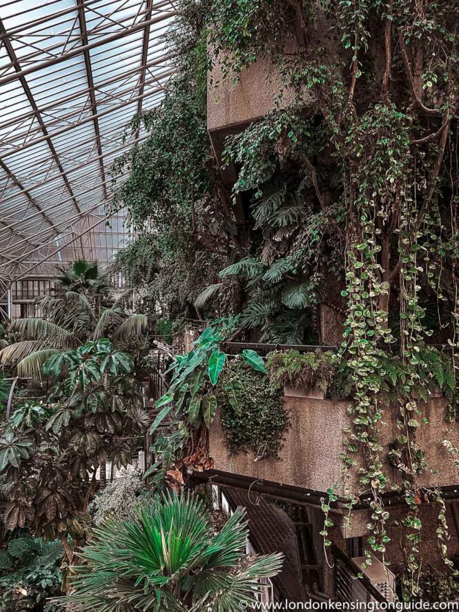 Barbican Conservatory - A Peaceful Oasis In The Heart Of London ...