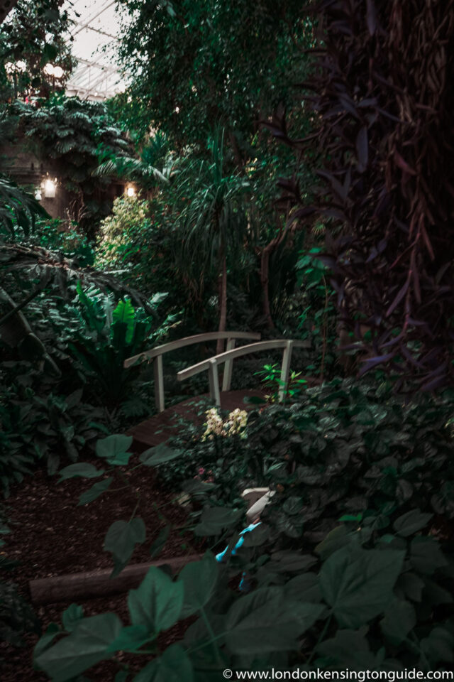 Barbican Conservatory - A Peaceful Oasis In The Heart Of London ...