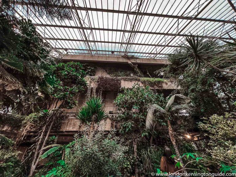 Barbican Conservatory - A Peaceful Oasis In The Heart Of London ...