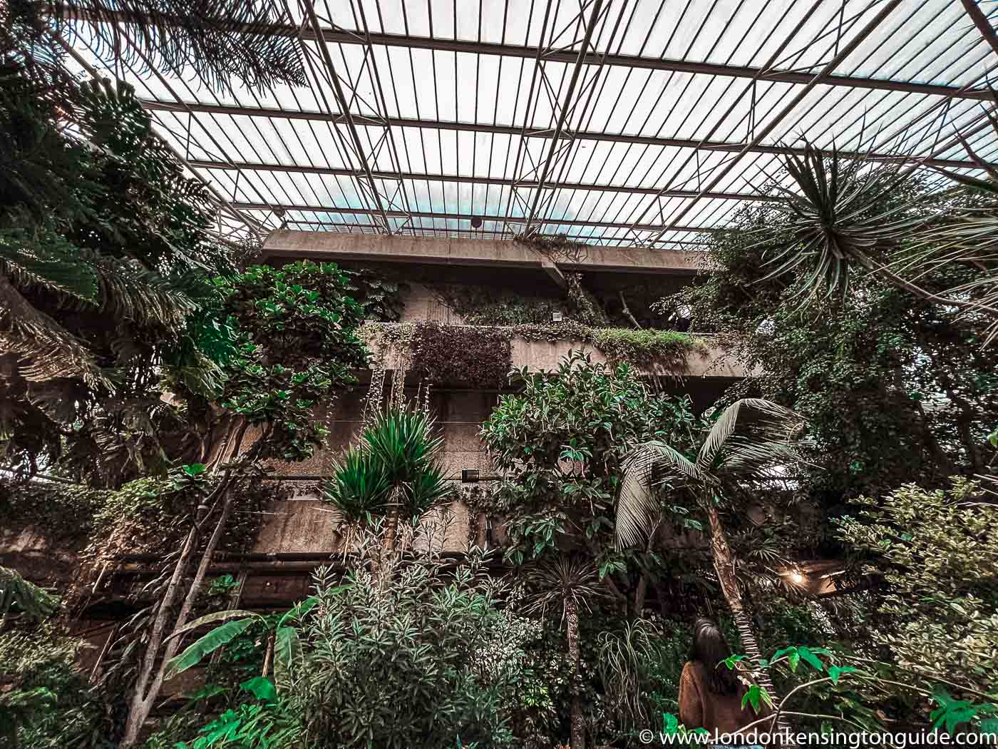 Barbican Conservatory - A Peaceful Oasis In The Heart Of London ...