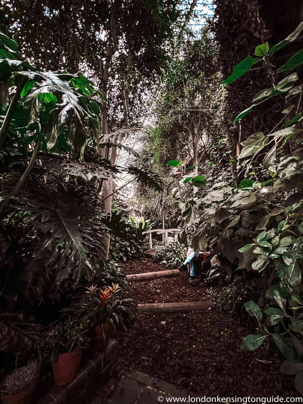 Barbican Conservatory - A Peaceful Oasis In The Heart Of London ...