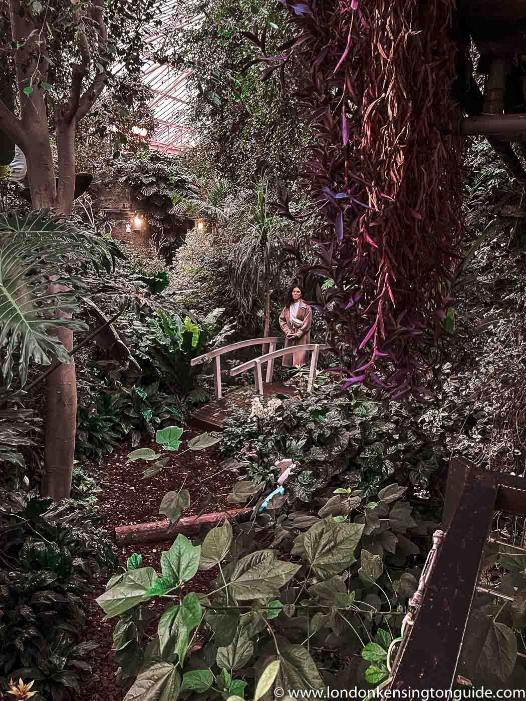 Barbican Conservatory - A Peaceful Oasis In The Heart Of London ...
