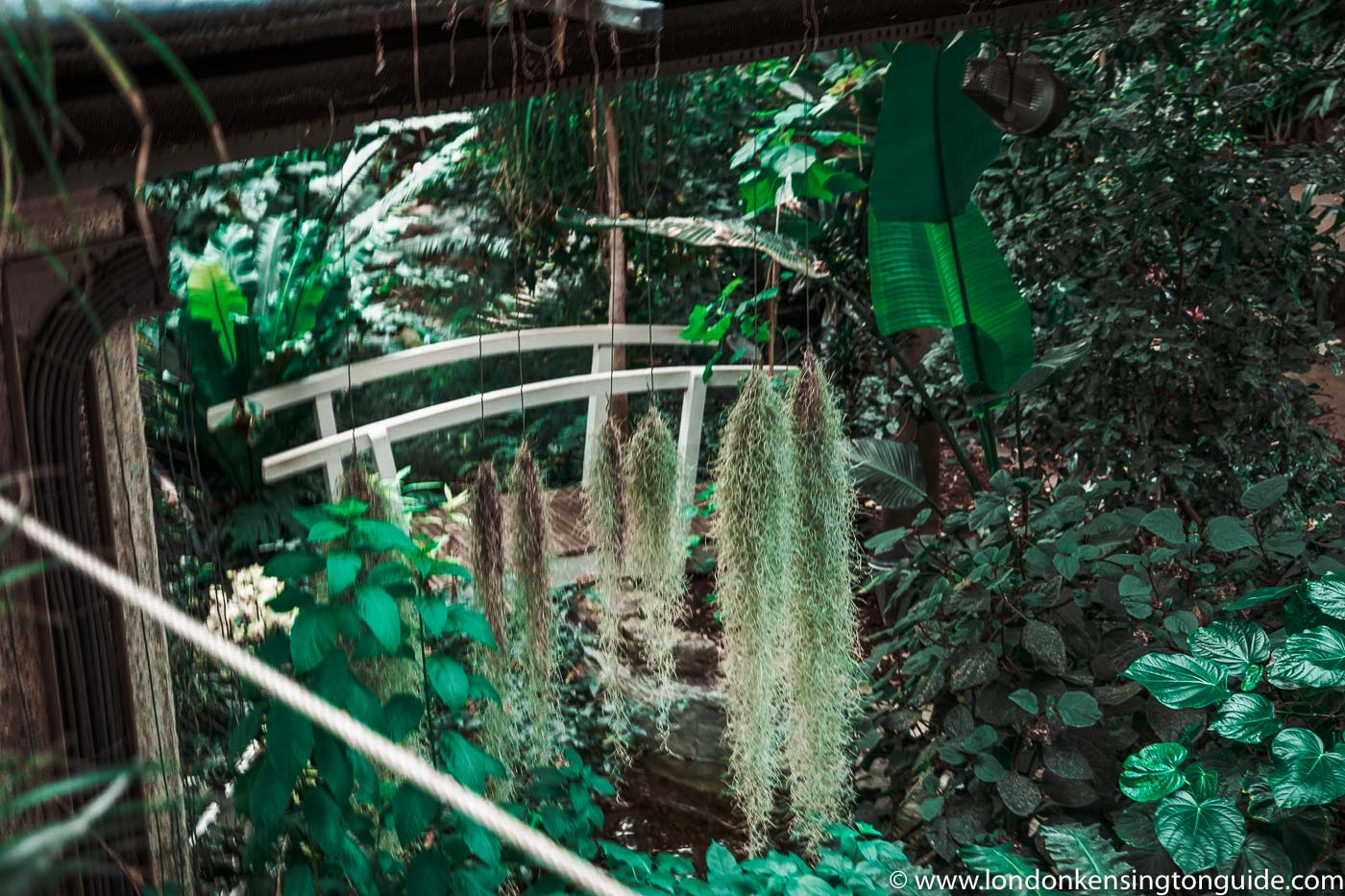 Barbican Conservatory - A Peaceful Oasis In The Heart Of London ...