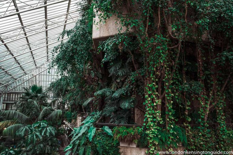 Barbican Conservatory - A Peaceful Oasis In The Heart Of London ...