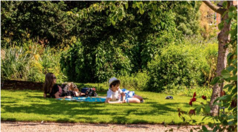 Chelsea Area Guide - London Kensington Guide