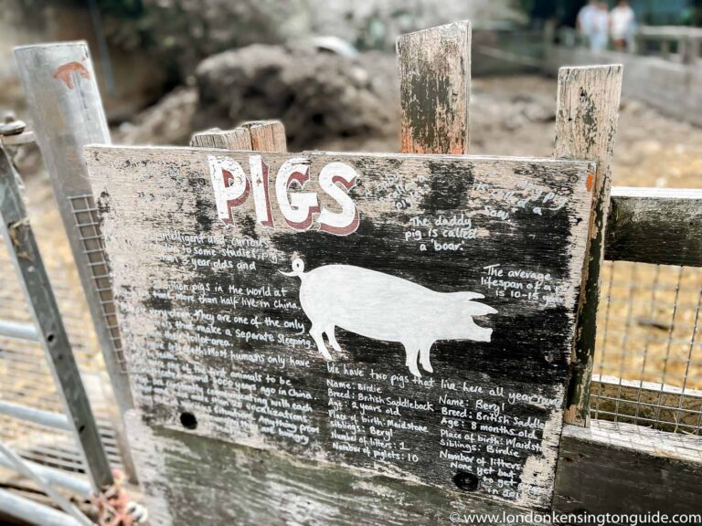 Hackney City Farm: Complete Guide On How To Visit London's City Farm ...