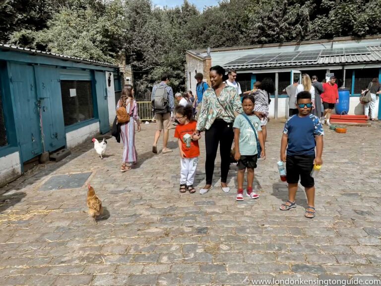 Hackney City Farm: Complete Guide On How To Visit London's City Farm ...