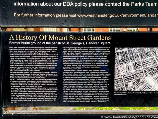 Mount Street Gardens: Mayfair's Quiet Little Gem - London Kensington Guide