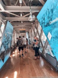 Walking On Tower Bridge Glass Floor Walkway - London Kensington Guide