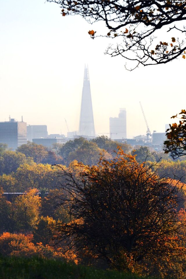 London In November: Embrace The Cosy Charm Of The Capital - London ...